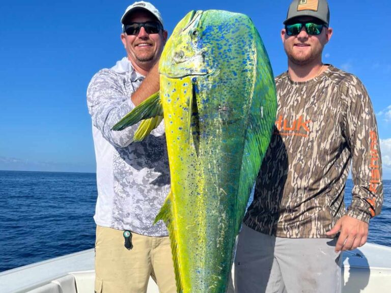 Mahi-Mahi Fishing In Florida: Every Tip You Need To Know