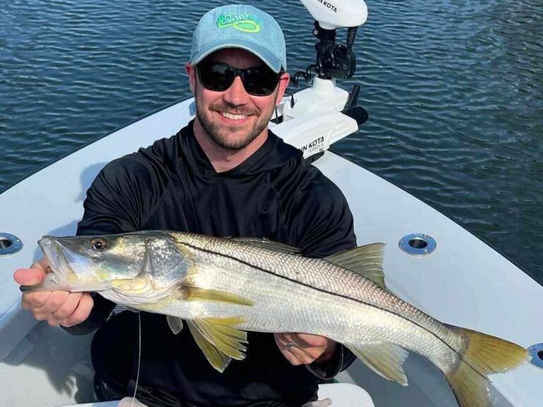 The Best Snook Rig Setup | Gear, Lures, Bait, And Techniques