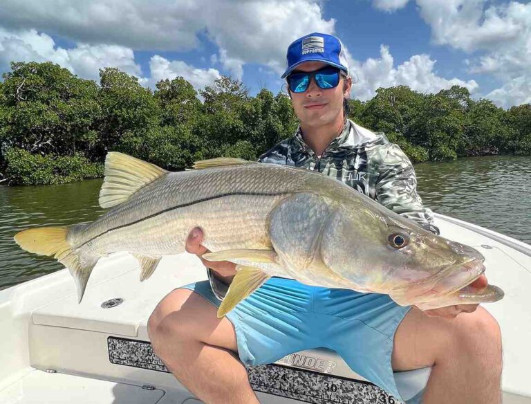 The Best Snook Rig Setup | Gear, Lures, Bait, And Techniques