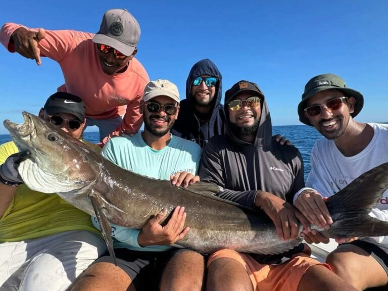 Cobia Fishing | The Best Cobia Rig Setup, Bait, And Lures