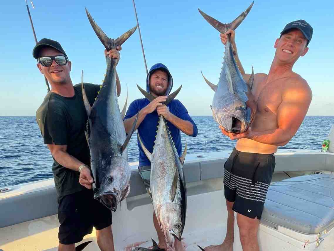 Top Bimini Fishing Charters In The Bahamas: 2025 Update