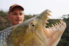 Fish That Eat People | Myths, Facts & Deadly Attacks