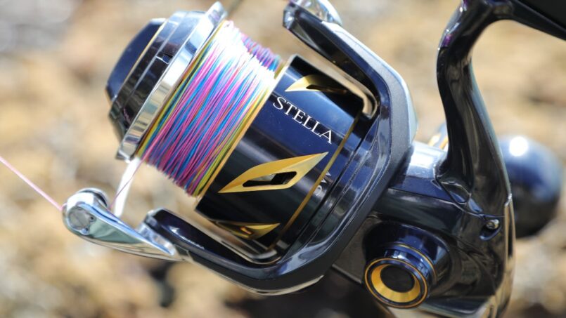 Top 10 Most Expensive Reels In 2026 And Why
