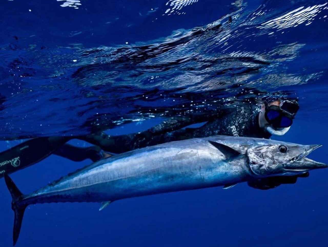 How To Start Spearfishing For Absolute Beginners