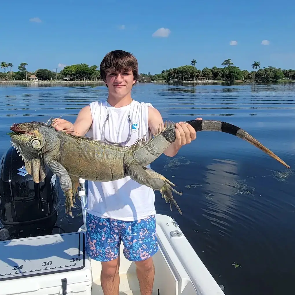 Iguana Hunting Charter: Top 10 Trips In Florida