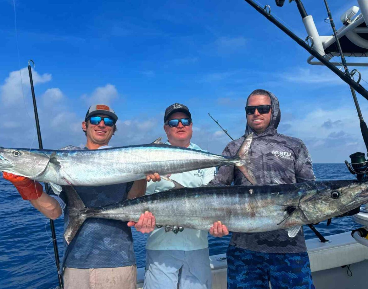 Which Fish Are In Season In Florida? A Monthly Guide