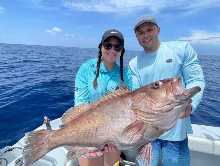 Which Fish Are In Season In Florida? A Monthly Guide